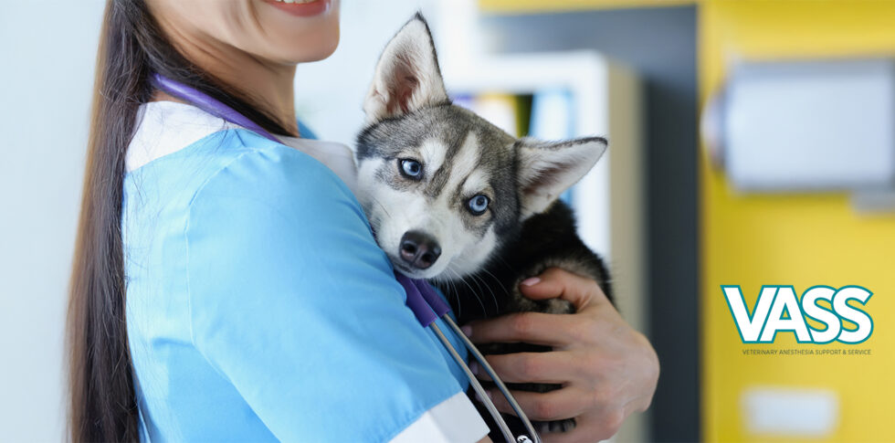 Welcome to the VASS Blog: Your Hub for Veterinary Anesthesia Insights ...